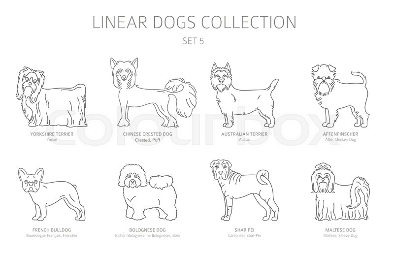 Simple line dogs collection isolated ... | Stock vector | Colourbox