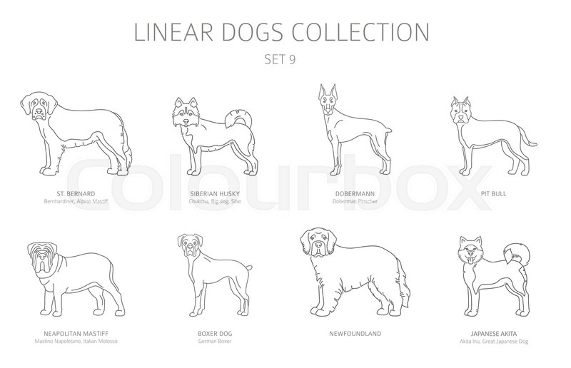 Simple line dogs collection isolated ... | Stock vector | Colourbox