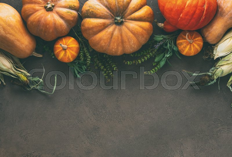 Autumnal rustic pumpkin background with ... | Stock image | Colourbox
