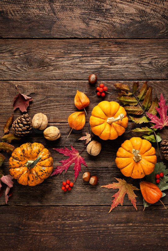 Thanksgiving Pumpkin Wallpaper