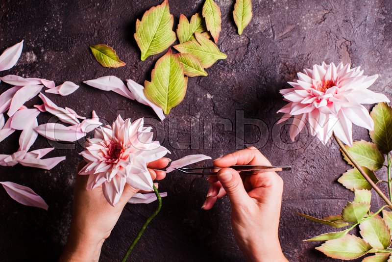 Handmade DIY making realistic flowers ... | Stock image | Colourbox
