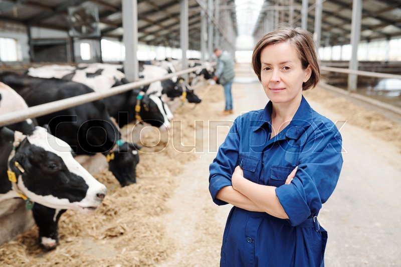 Young female worker of dairy farm ... | Stock image | Colourbox