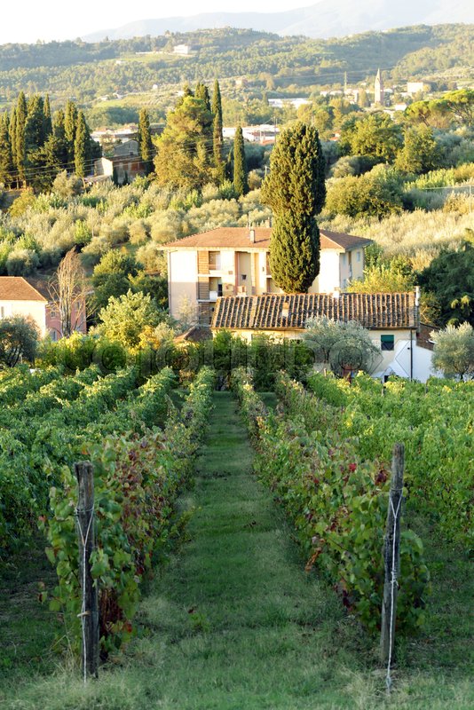 Italian landscapes, architecture and ... | Stock image | Colourbox