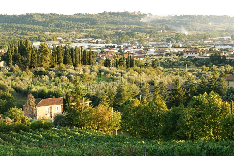 Natural Architecture Italy