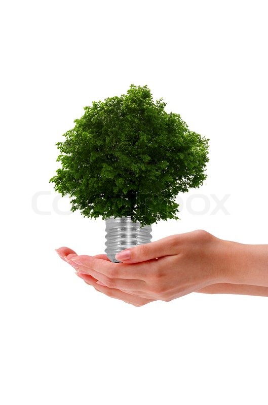 Hand holding a tree | Stock image | Colourbox