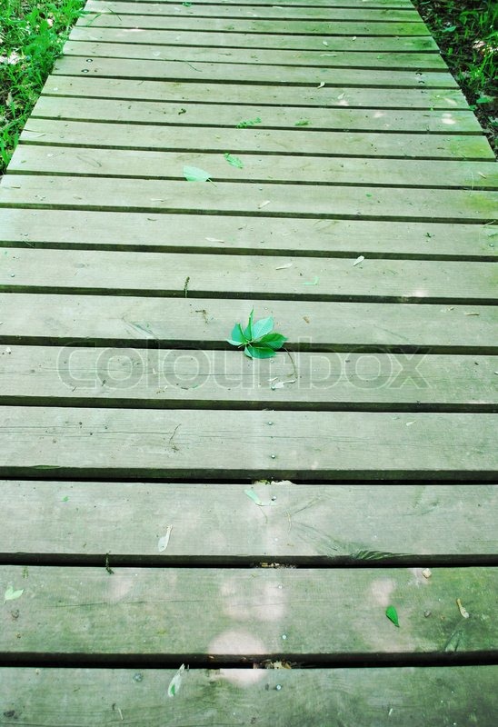 Boardwalk wood texture | Stock Photo | Colourbox