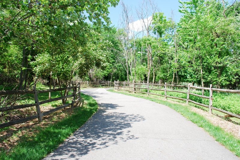 Road in the park | Stock image | Colourbox