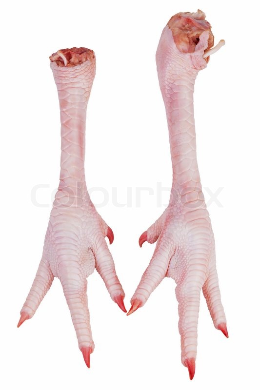 Dangling raw chicken legs with claws | Stock Photo | Colourbox