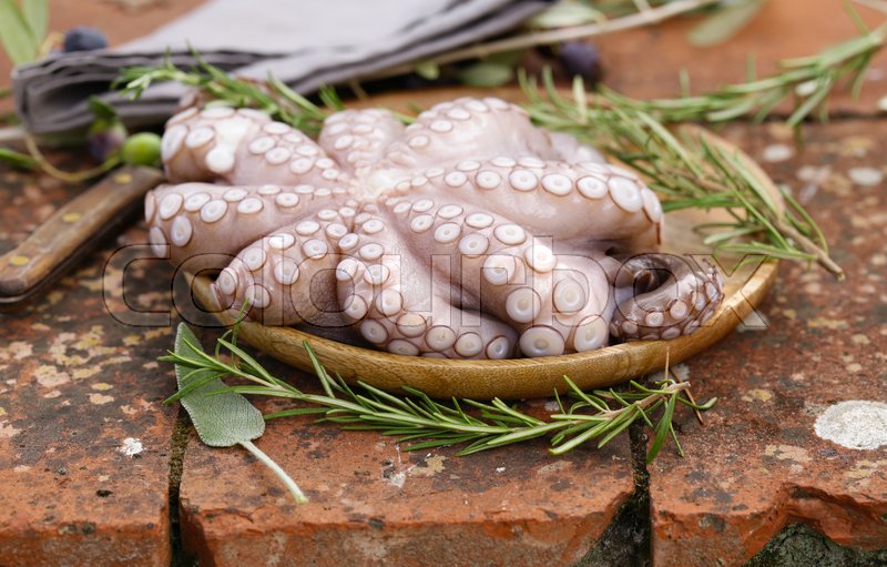 Natural fresh octopus with herbs and ... | Stock image | Colourbox