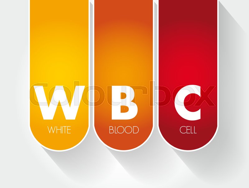 WBC - White Blood Cell acronym, ... | Stock vector | Colourbox