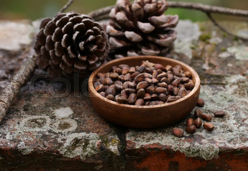 Natural organic pine cones and nuts | Stock image | Colourbox