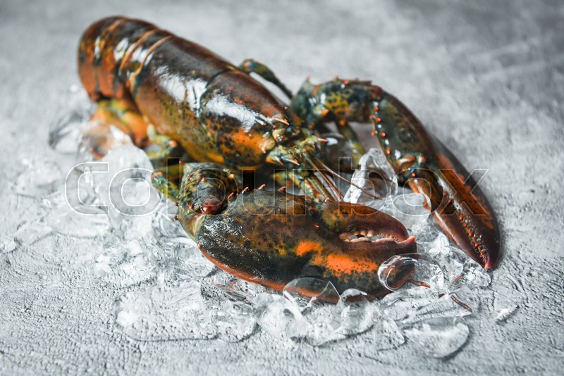 Uncooked Lobster