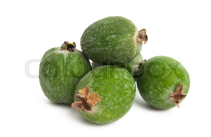 Feijoa isolated on white background | Stock image | Colourbox