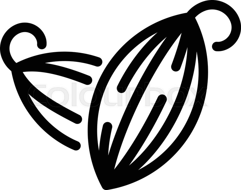 Cardamom icon. Outline cardamom vector ... | Stock vector | Colourbox