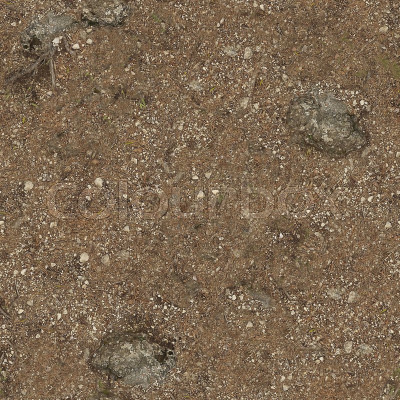 Dirt Trail Texture