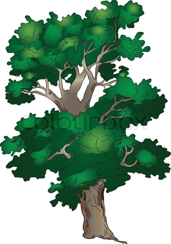 Thick trees | Stock Vector | Colourbox