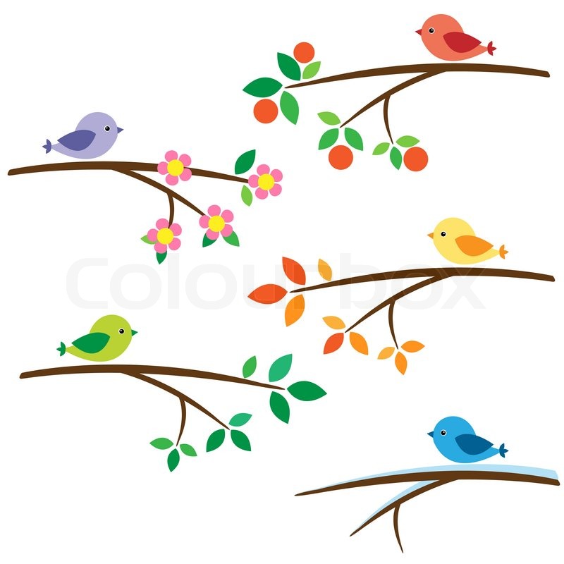 Birds on branches | Stock vector | Colourbox
