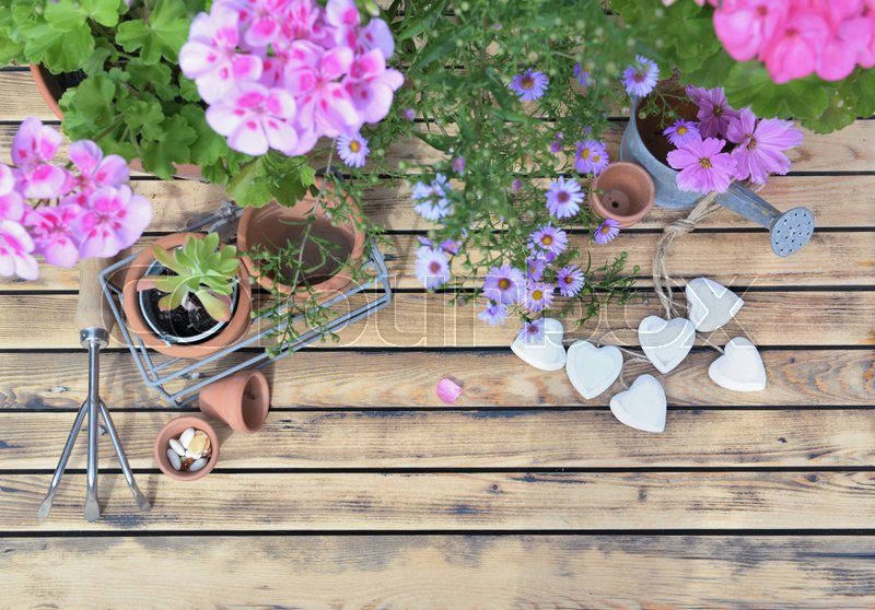 Top view on flowerpot on a wooden table ... | Stock image | Colourbox