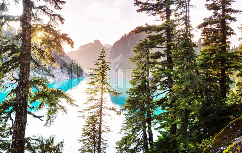 Mountain Lake Serenity Wallpaper