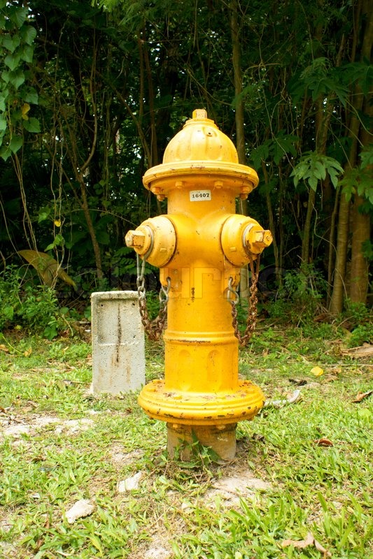 High resolution photo in best quality | Stock image | Colourbox