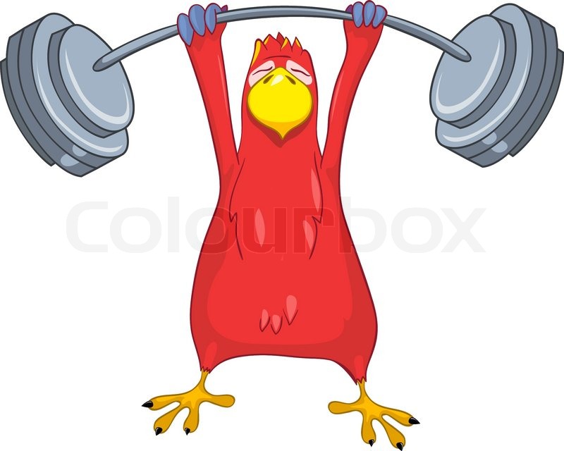 Funny Parrot Gym | Stock vector | Colourbox