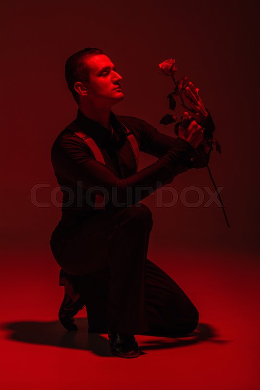 Sensual tango dancer holding red rose ... | Stock image | Colourbox