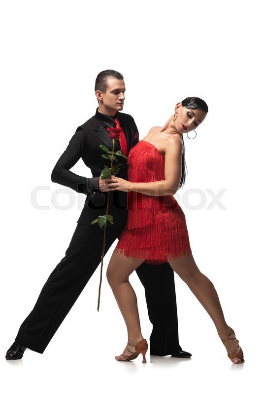 Passionate, elegant dancers holding red ... | Stock image | Colourbox