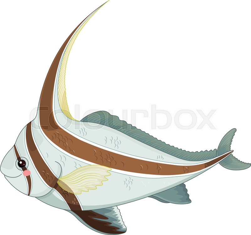Illustration of cute jackknife fish | Stock vector | Colourbox