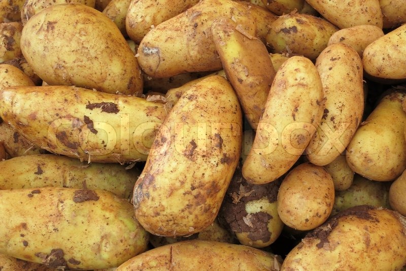 Kartoffeln | Stock Bild | Colourbox
