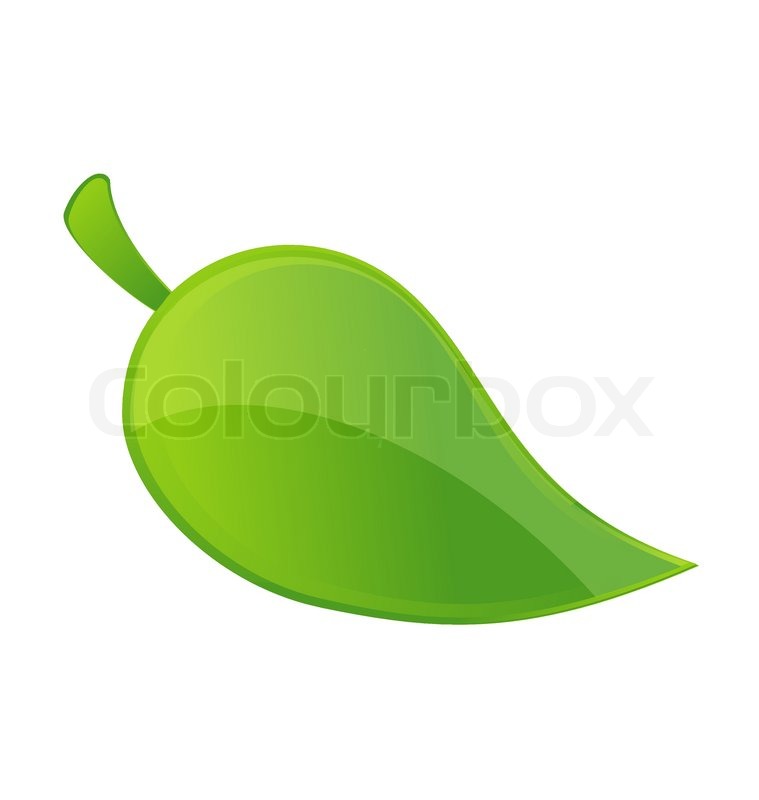 One leaf sign green color conservation | Stock vector | Colourbox