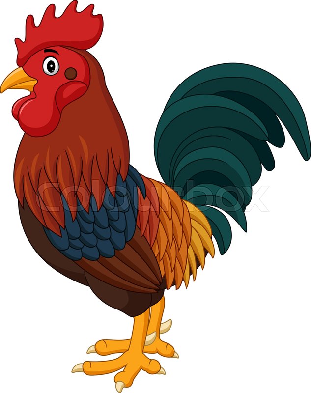 Cartoon Rooster Drawing