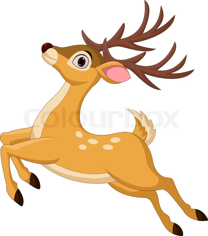 Funny Deer Cartoons