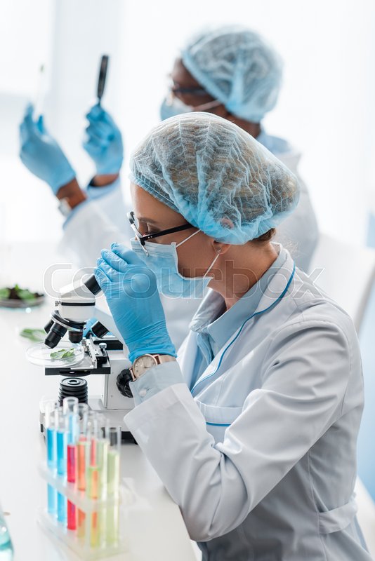 Selective focus of biologist using ... | Stock image | Colourbox