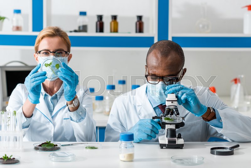 African american biologist using ... | Stock image | Colourbox