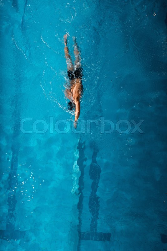 Top view of sportsman swimming front ... | Stock image | Colourbox