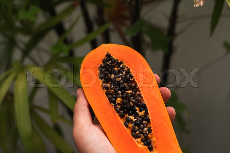 Male hand holding a half of ripe papaya ... | Stock image | Colourbox