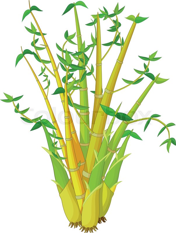 Cool Green Yellow Bamboo Tree Cartoon ... | Stock vector | Colourbox
