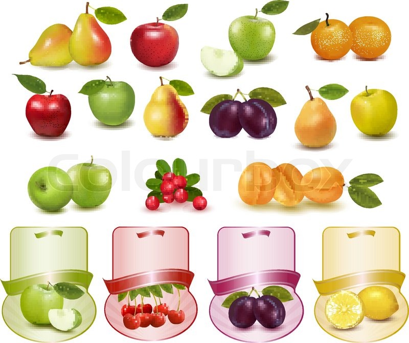 Group with different sorts of fruit and labels. | Stock Vector | Colourbox