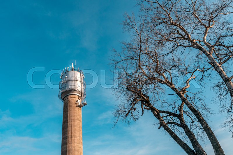 Old tree and water tower on blue sky ... | Stock image | Colourbox