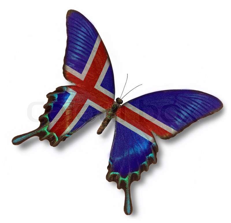 Iceland flag on butterfly isolated on ... | Stock image | Colourbox