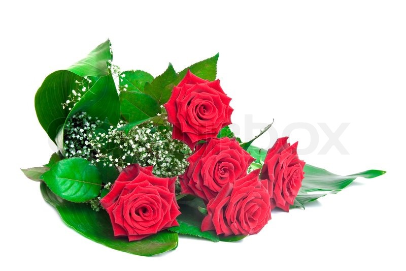 Bouquet of red roses isolated on white ... | Stock image | Colourbox