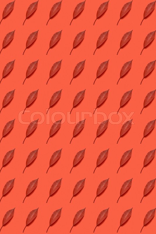 Autumn handmade natural red leaves ... | Stock image | Colourbox
