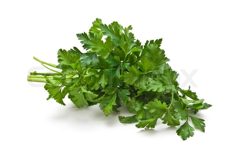 Sprig of parsley Isolated on white ... | Stock image | Colourbox