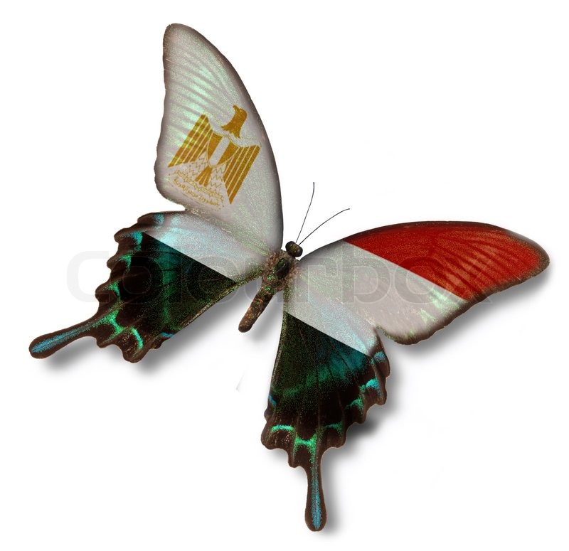 Egypt flag on butterfly | Stock image | Colourbox