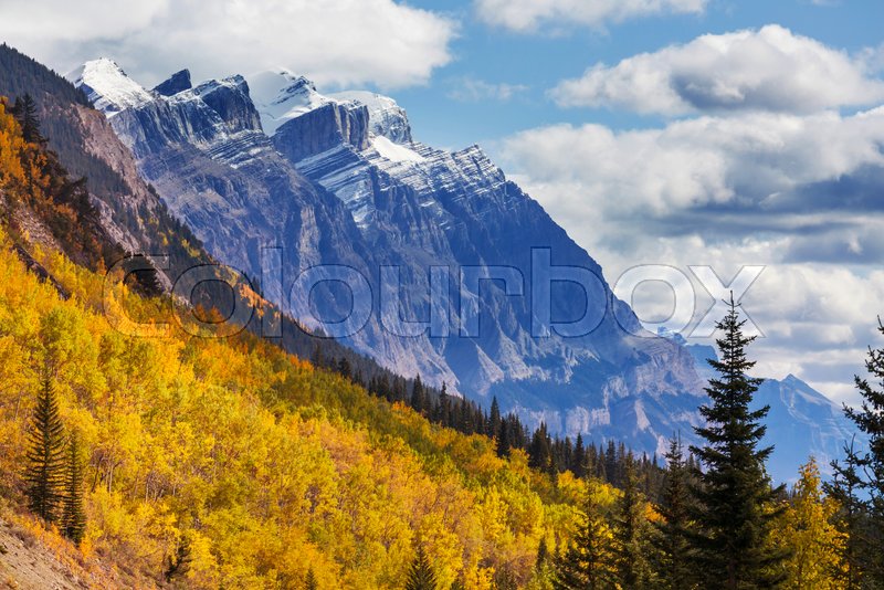 Beautiful autumn season in Canadian ... | Stock image | Colourbox