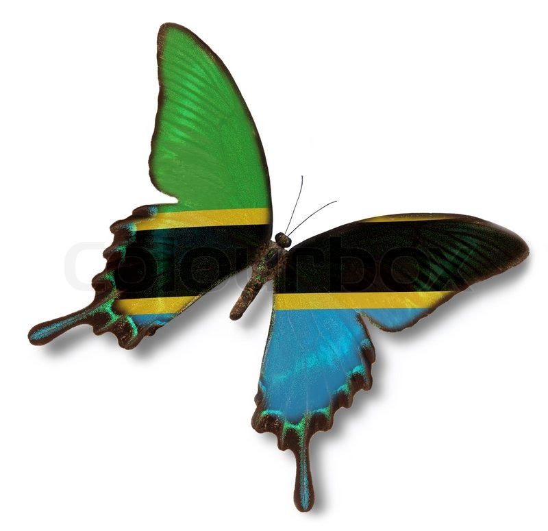 Tanzania flag on butterfly | Stock image | Colourbox