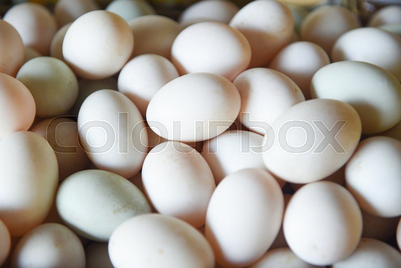 Fresh eggs texture background/ produce ... | Stock image | Colourbox