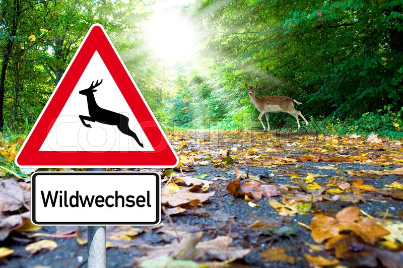 Schild mit Wildwechsel | Stock Bild | Colourbox
