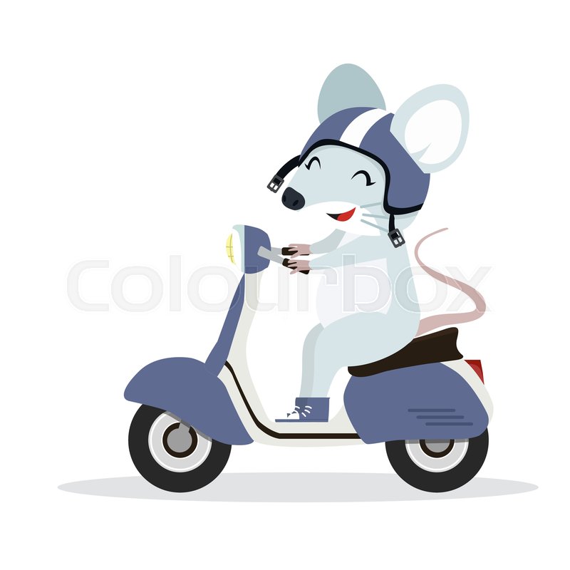 Cute rat mouse on motorcycle vector | Stock vector | Colourbox