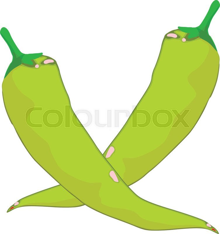 Chilli green icon. Isometric ... | Stock vector | Colourbox